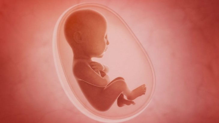 Les malformations congénitales et leur prise en charge - Conseils ... Les malformations congénitales et leur prise en charge - Conseils ...